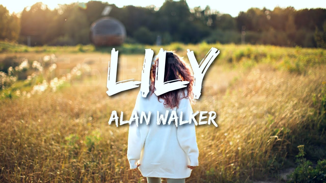 Alan Walker, K-391 & Emelie Hollow - Lily (Lyrics) - YouTube