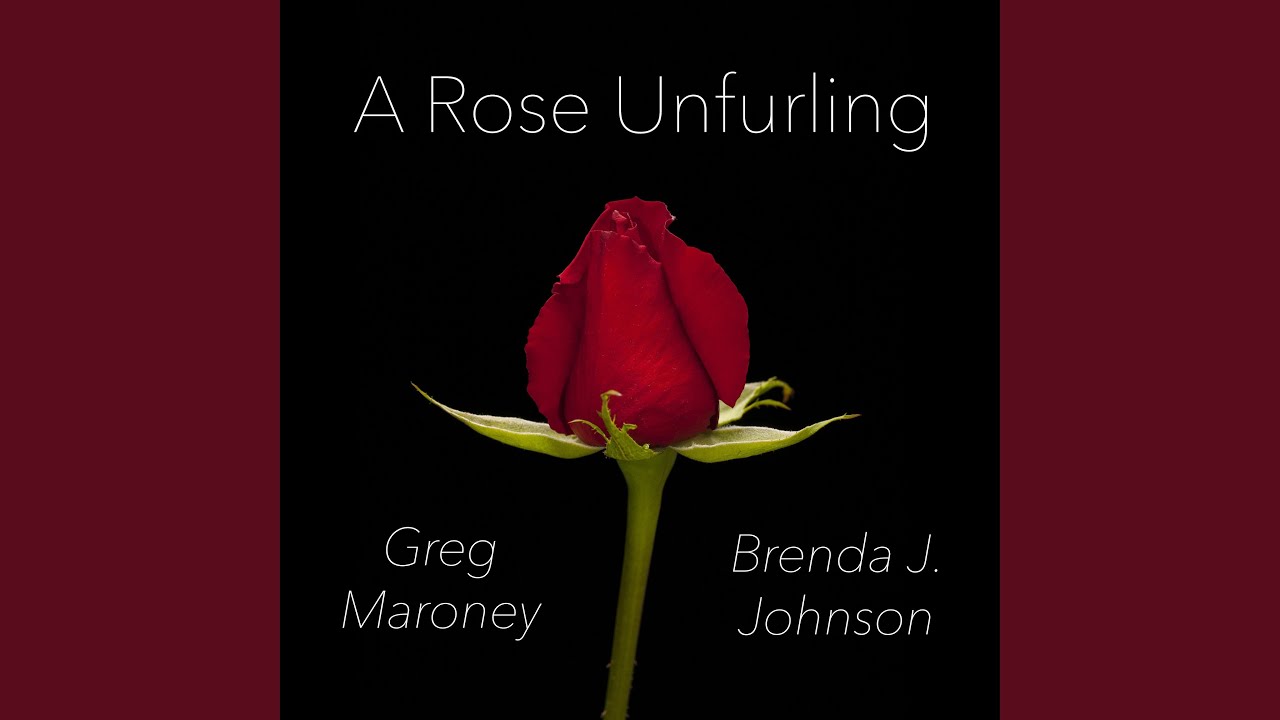 A Rose Unfurling - YouTube