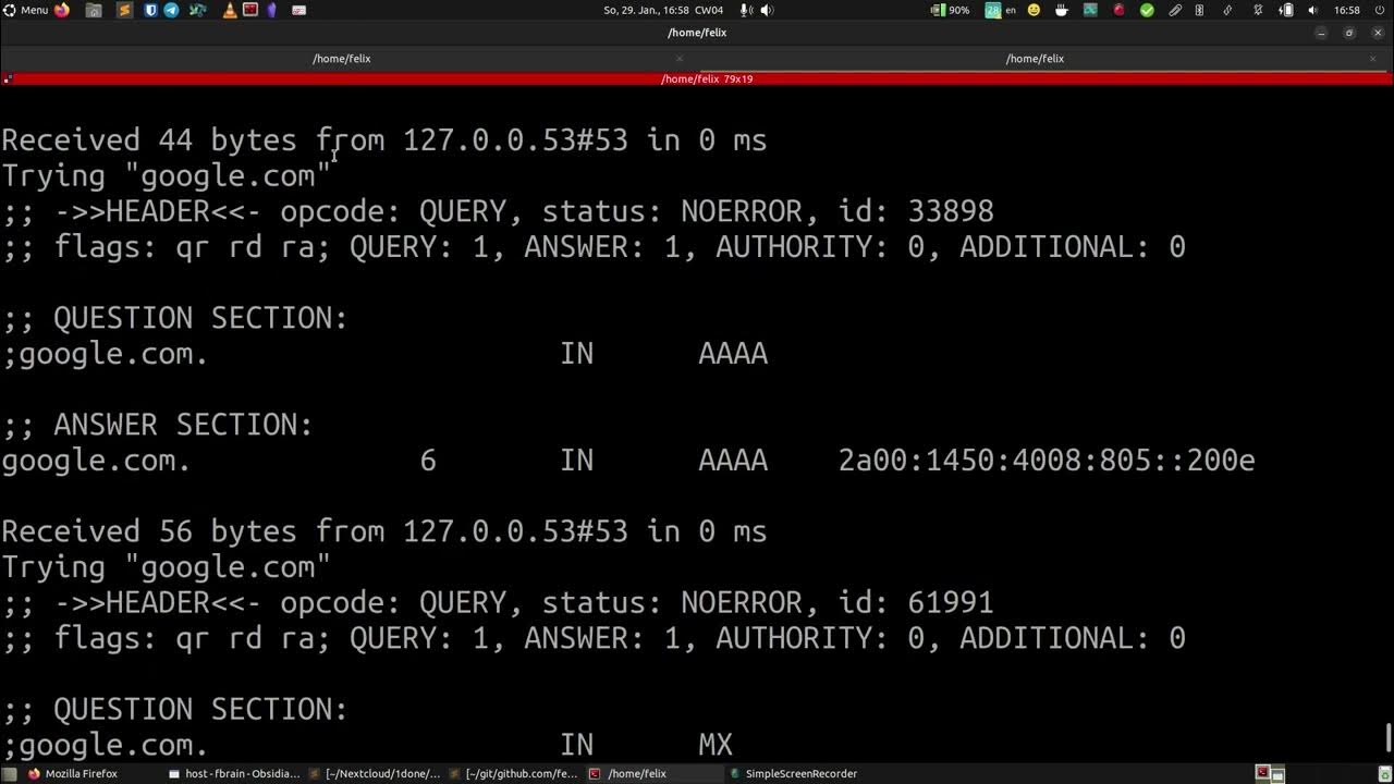 How to use the HOST command on Linux to query DNS records and reverse IP records (Ubuntu) - YouTube