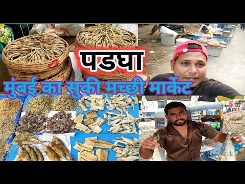 मुंबई का फेमस सुकी मच्छी मार्केट पडघा एकदम स्वस्त/mumbai Padgha dry ...