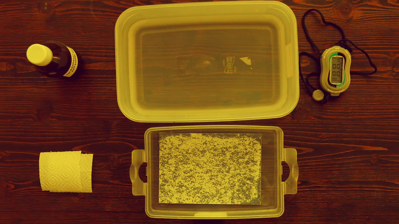 Calotype - Sensitizing the paper negative - Greenlaw's version - YouTube