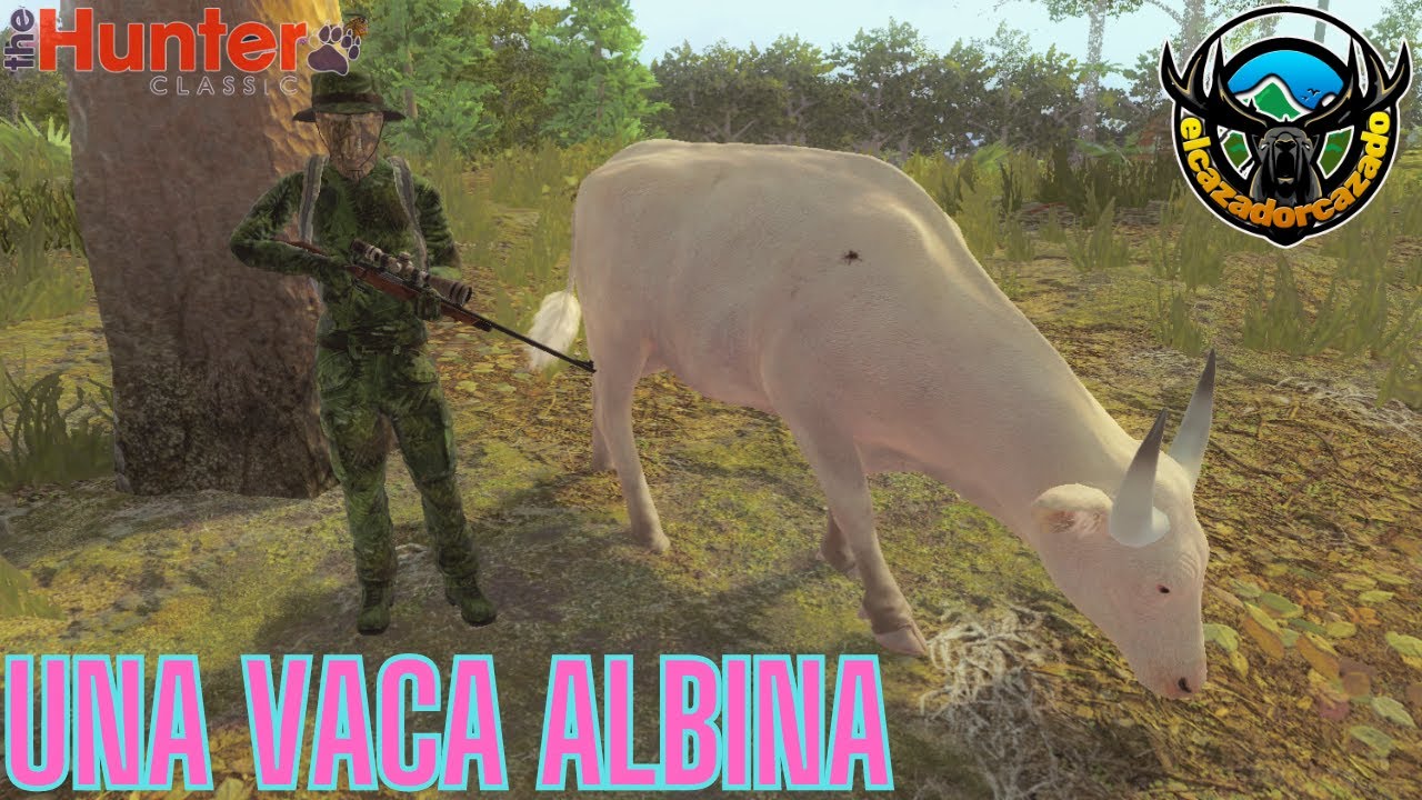 Cazando un banteng Albino hembra - The Hunter Classic - YouTube