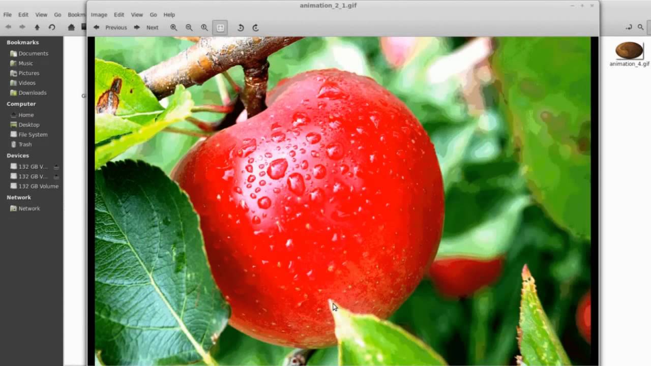 GIF Animation in GIMP - YouTube