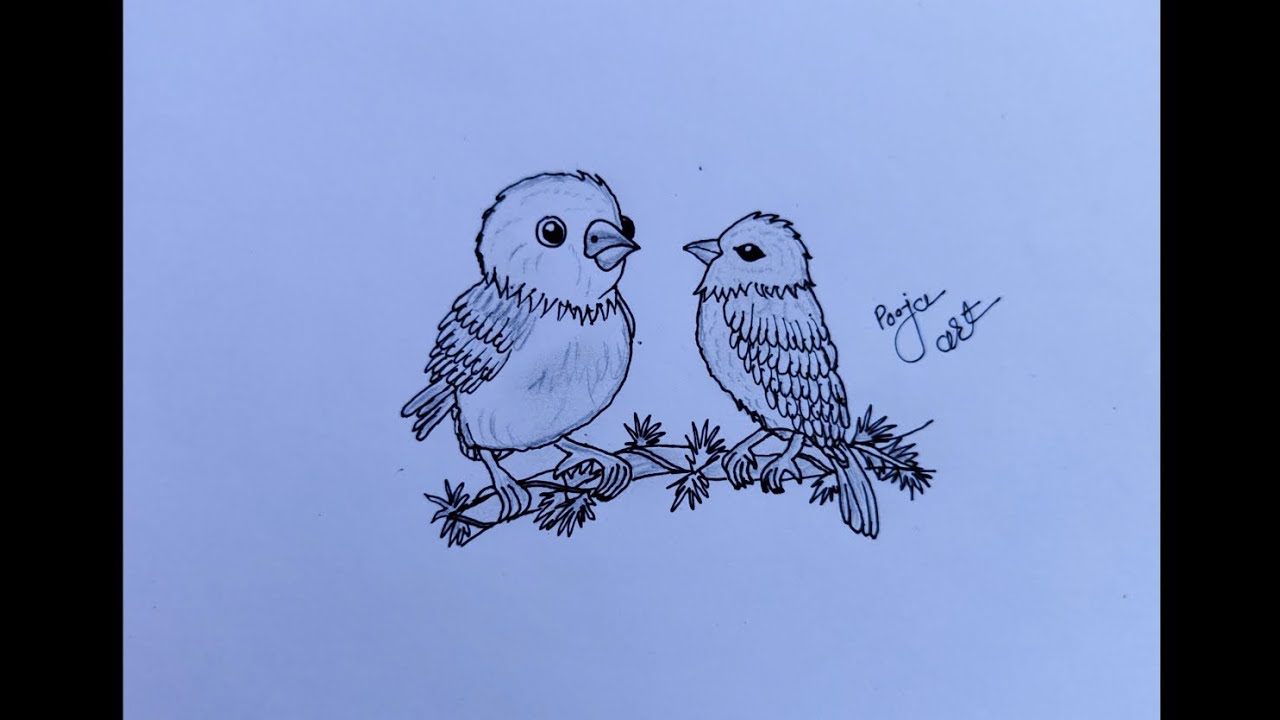 How To Draw Sparrow Birds 🐦|| Birds Drawing ||Easy Step by Step ...