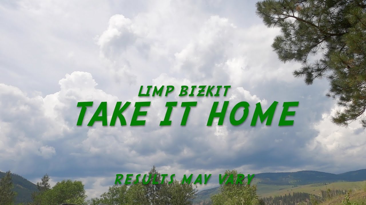 Limp Bizkit - Take it Home (Lyrics) - YouTube