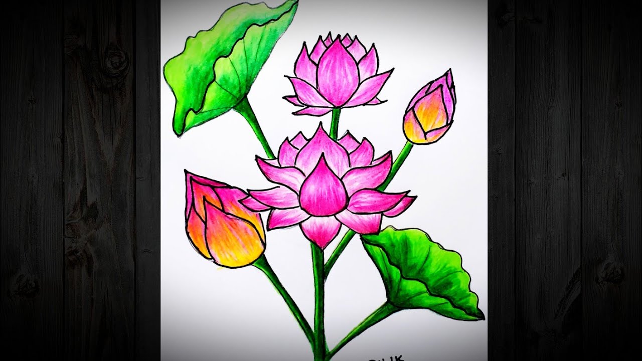 LOTUS FLOWER Drawing Easy Step-by-Step / NILUFAR GUL Rasmini chizish ...