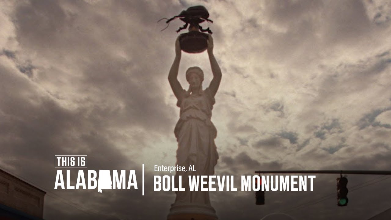 Boll Weevil Monument | This is Alabama - YouTube