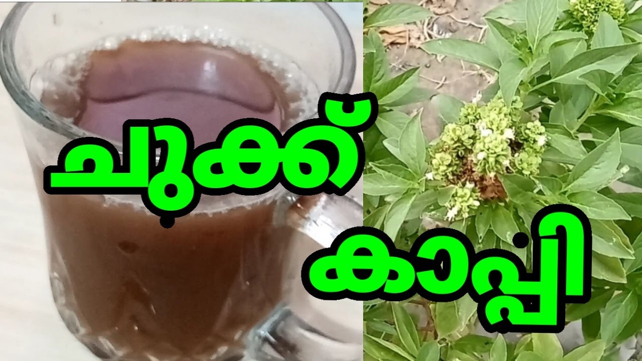 ചുക്ക് കാപ്പി // Ginger Coffee // How to make Chukku Kaappy in home ...