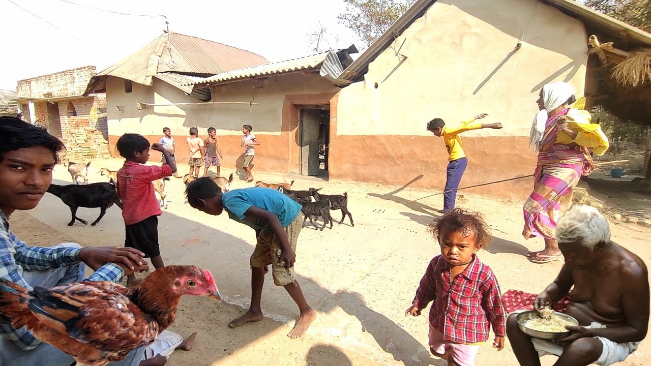 Daily routine village life work in India|Poor people village life|How ...
