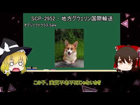 【ゆっくり解説】SCP-2952 - 地方グウェリン国際輸送 - YouTube