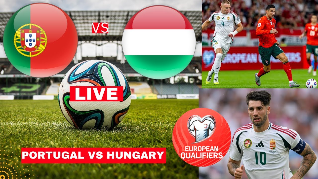 Portugal vs Hungary 2-2 Live Stream World Cup qualifier Football Match ...