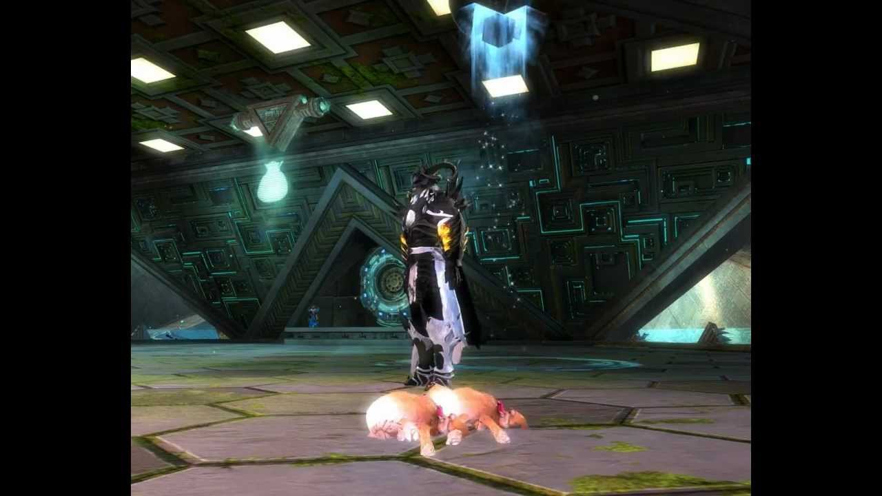 Guild Wars 2 - Mini Karka Hatchlings - YouTube