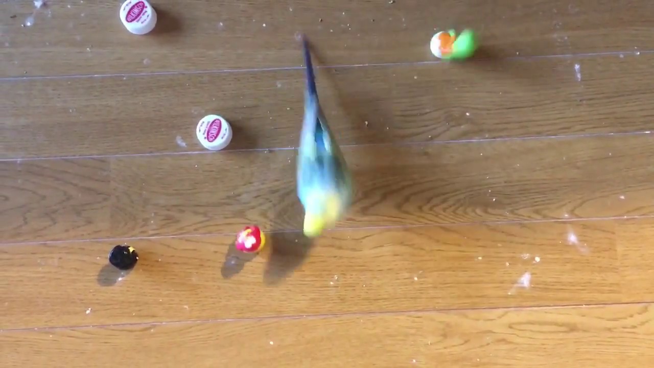 Double wobble - YouTube