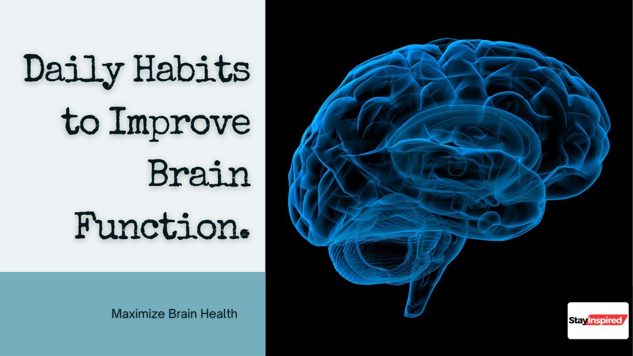 How not to work your BRAIN | Brain EFFICIENCY | Brain HEALTH - YouTube