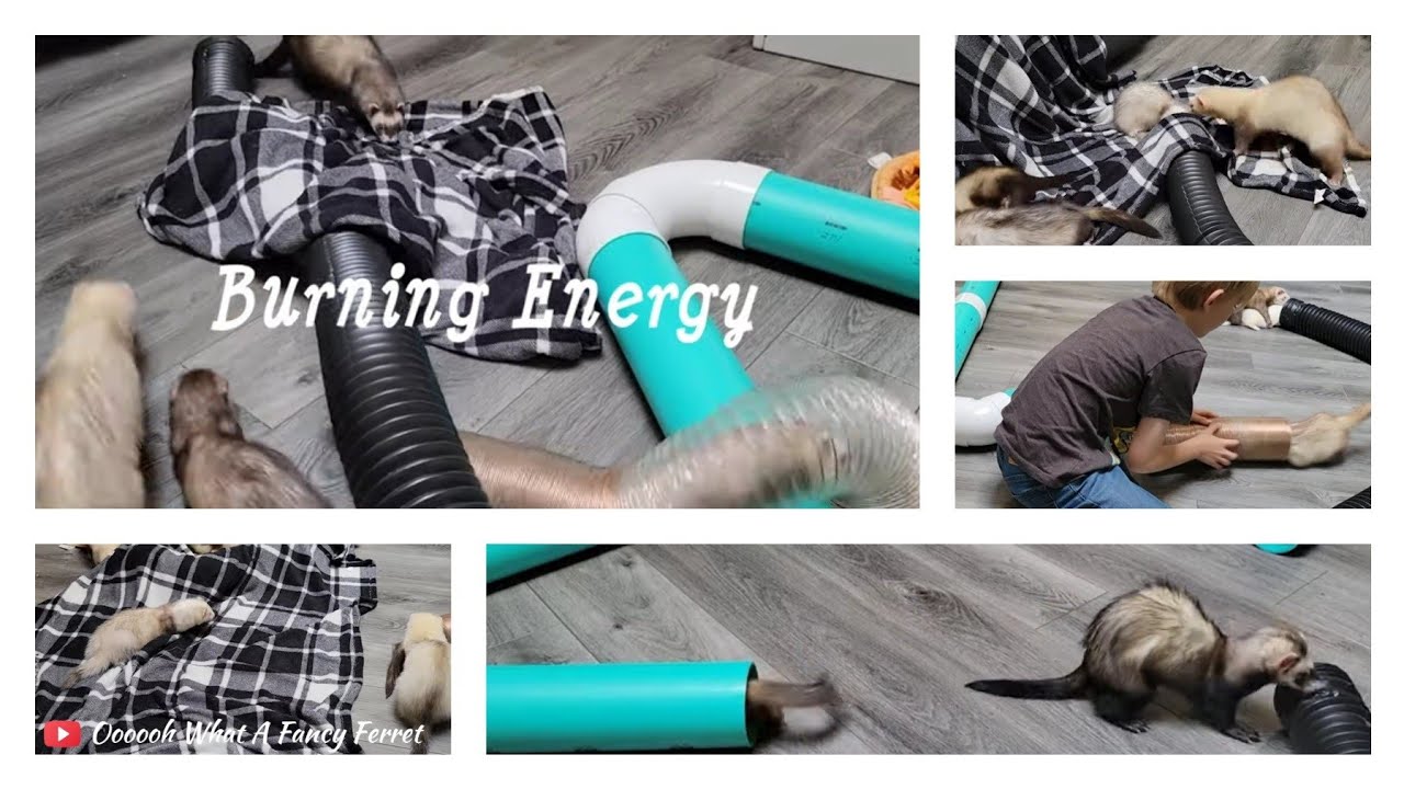 Burning Energy - YouTube