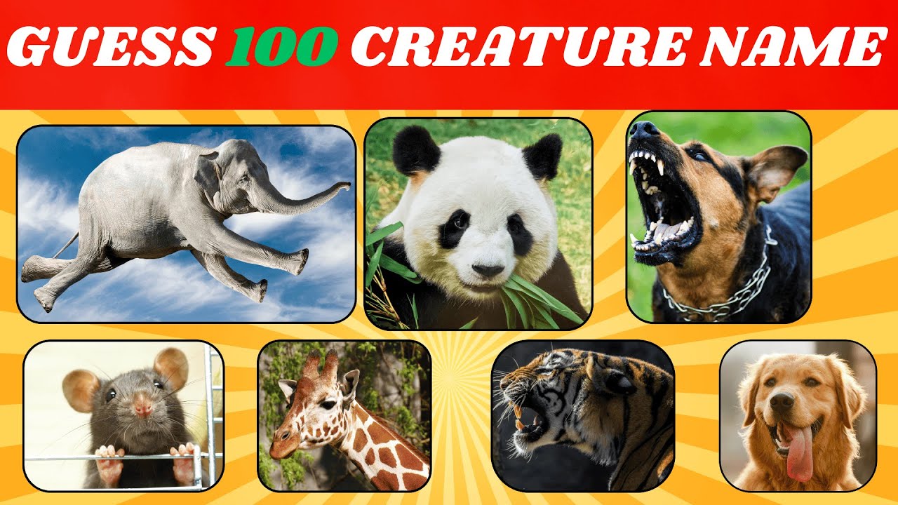 Can You Identify These 100 creature in 3 Seconds? - YouTube