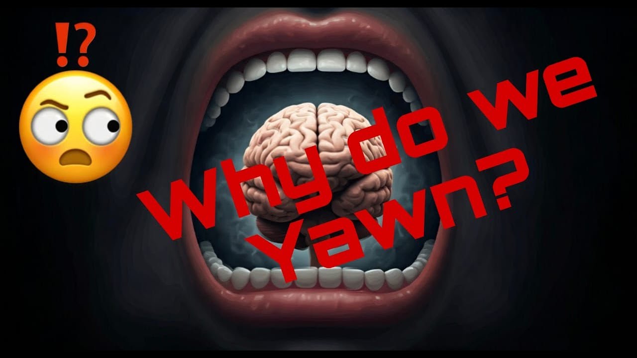 Unsolved Mysteries of Everyday Life. (Why Do We Yawn) - YouTube