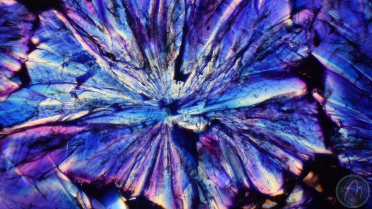 Difference between salt and sugar under the Microscope [Microsplored ...