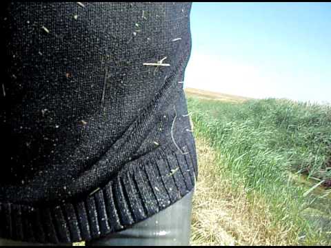 walking in soaking wet clothes - YouTube