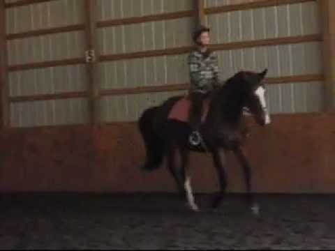 Jumping Lesson on Bobbi - Moves Like Jagger - YouTube