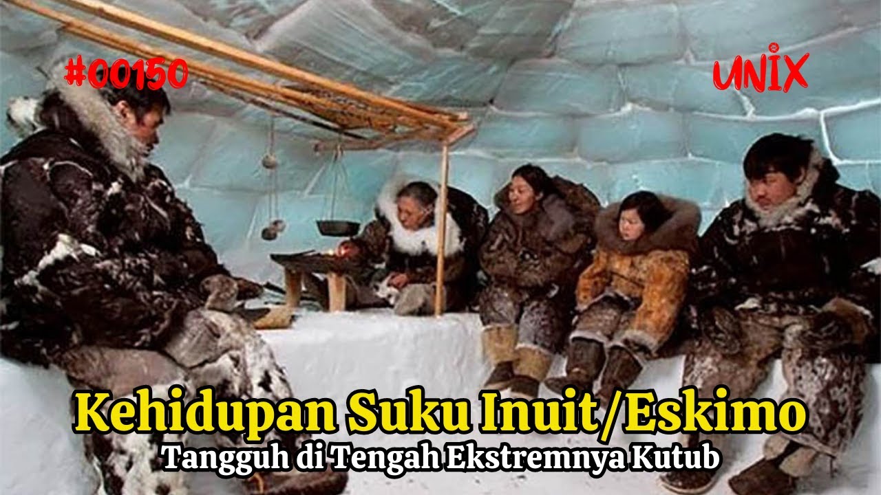 Kehidupan Suku Inuit: Tangguh di Tengah Ekstremnya Kutub - YouTube