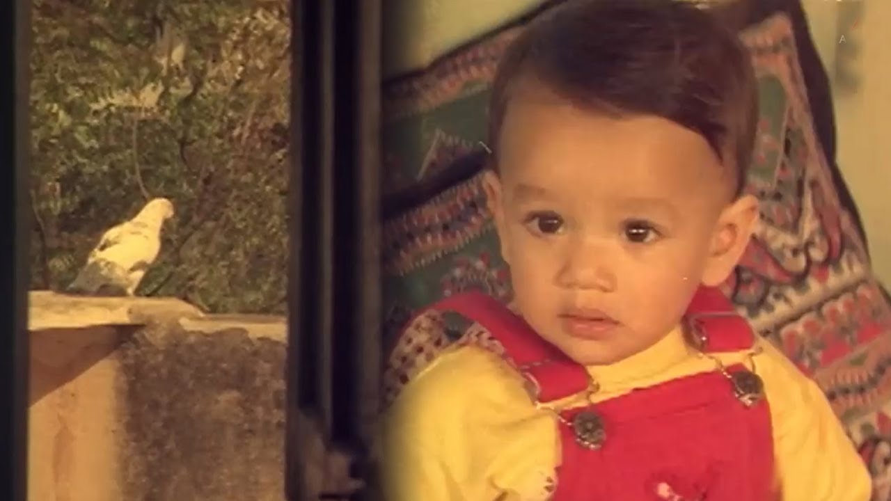 Childrens Day Special Video || Sisindri Movie Best Comedy Scenes || Nagarjuna Akkineni, Amala ...