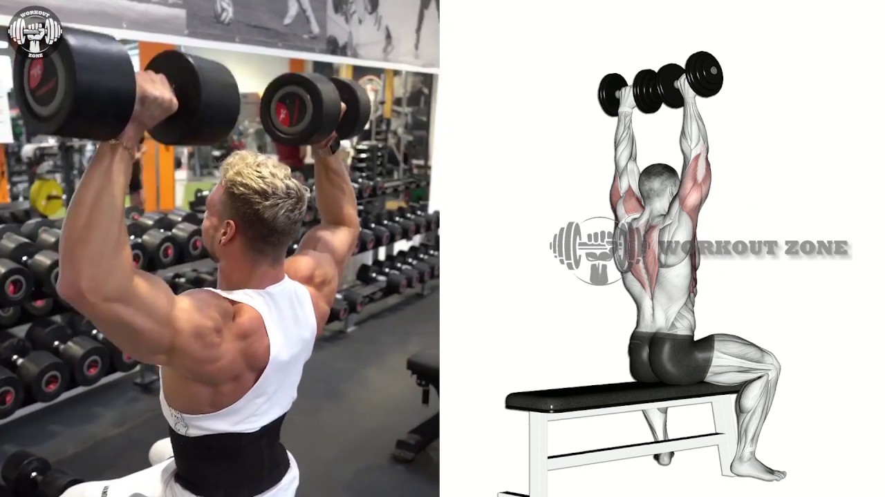 7 Best Shoulder 🔥 Exercises | 7 The PERFECT Shoulder Workout - YouTube