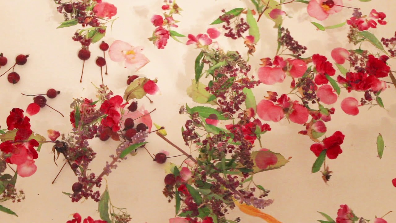 Running Flowers - YouTube