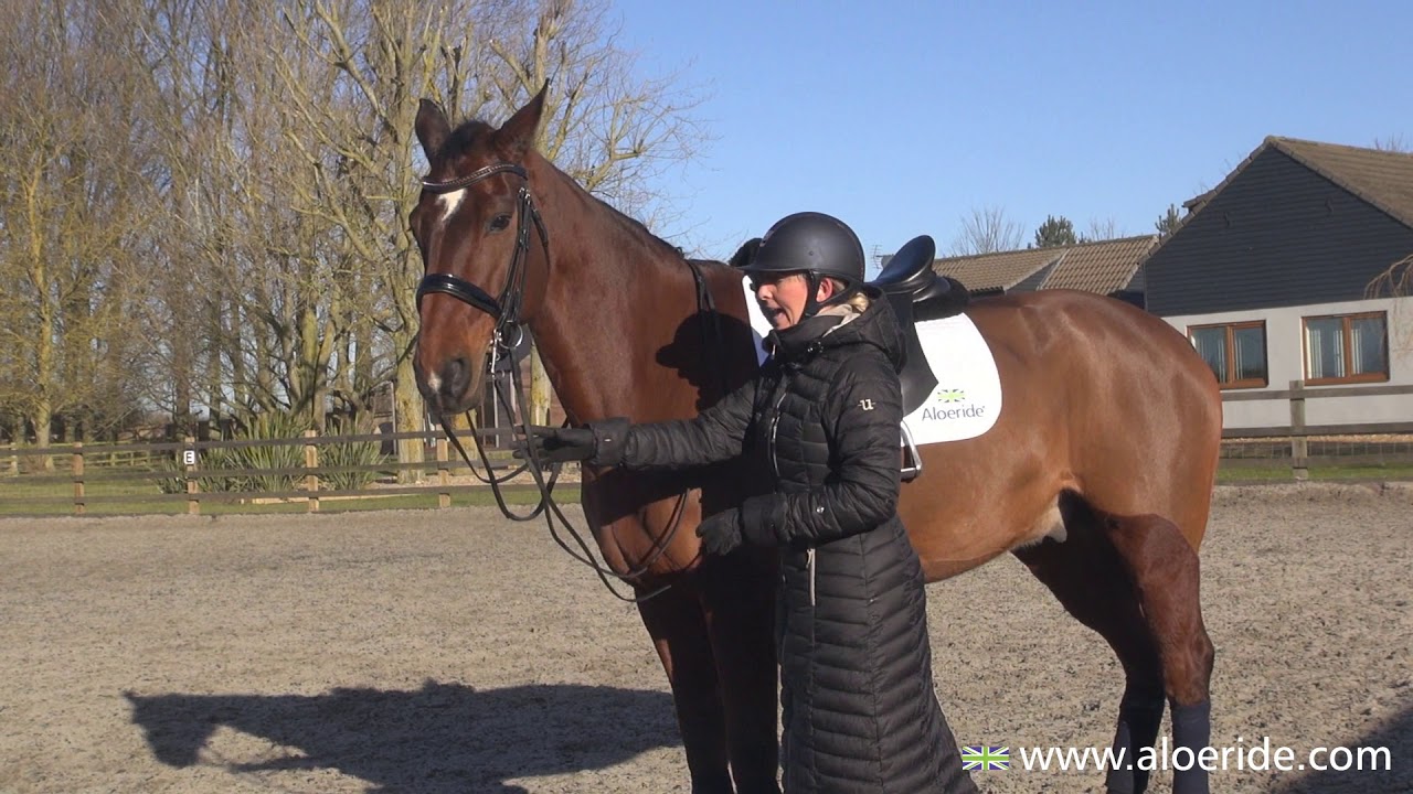 The Problem Of Girthiness was helped with Aloeride - YouTube