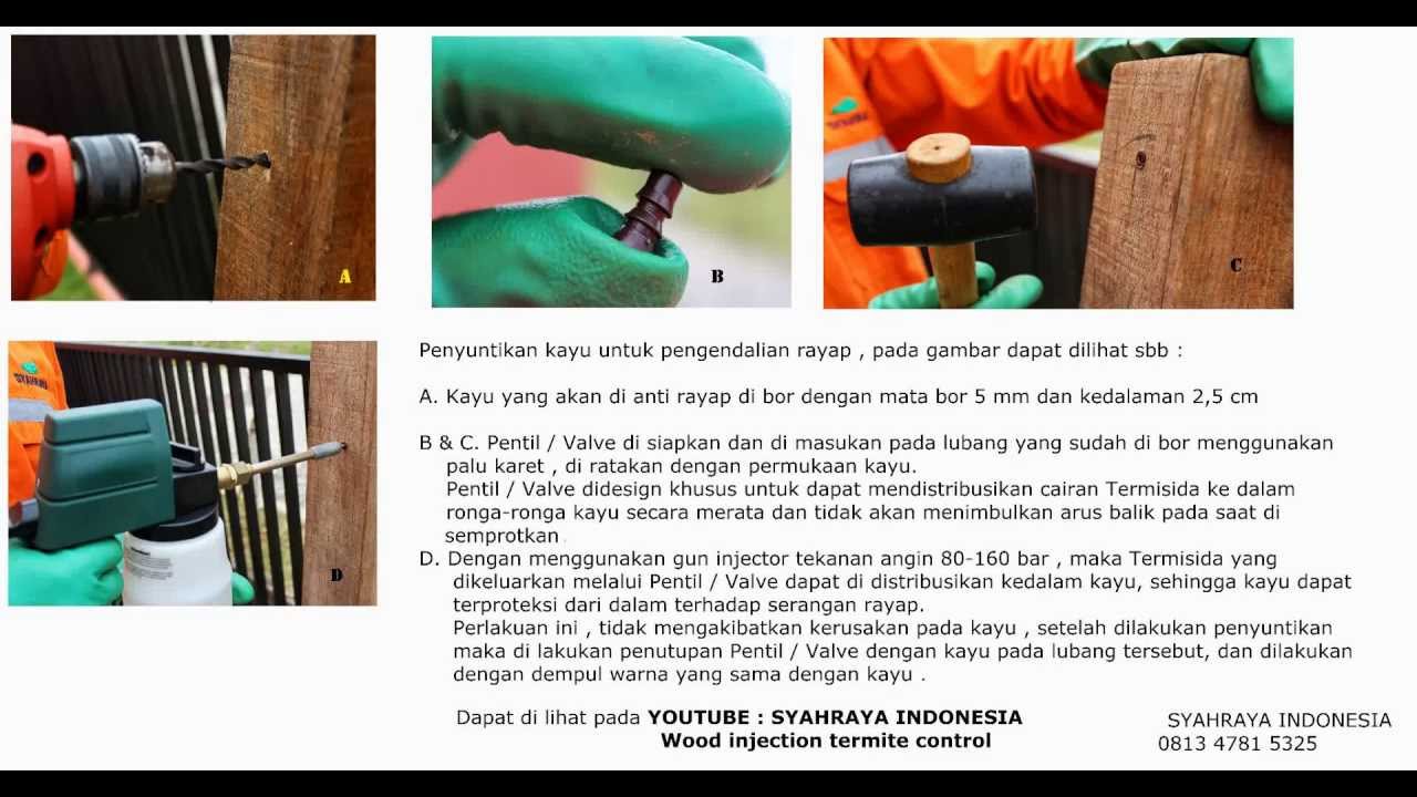 Termite Control - wood treatment injection - YouTube
