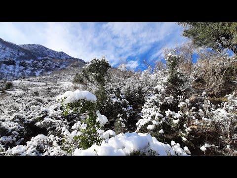 Düzağaç Köyüne kar yağdı  ~çok soğuk havada doğa yürüyüş~içimizi Isıtan çay keyfi~paşanın kar keyfi