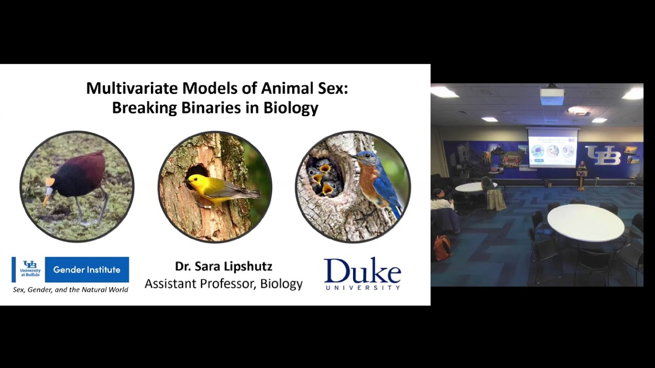 Multivariate models of animal sex: Breaking binaries in biology - YouTube