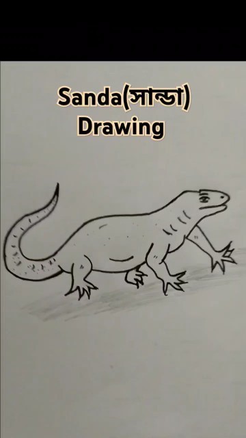 How to draw a Sanda🦎 ️|| Easy Drawing Method ️#sanda #drawing #shorts # ...