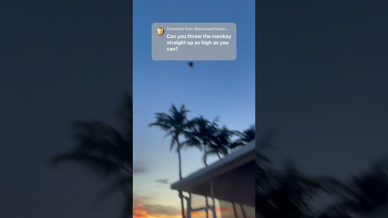 Monkey flight #monkeyaround - YouTube