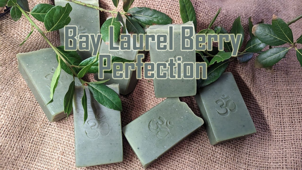Laurel Berry Perfection - YouTube