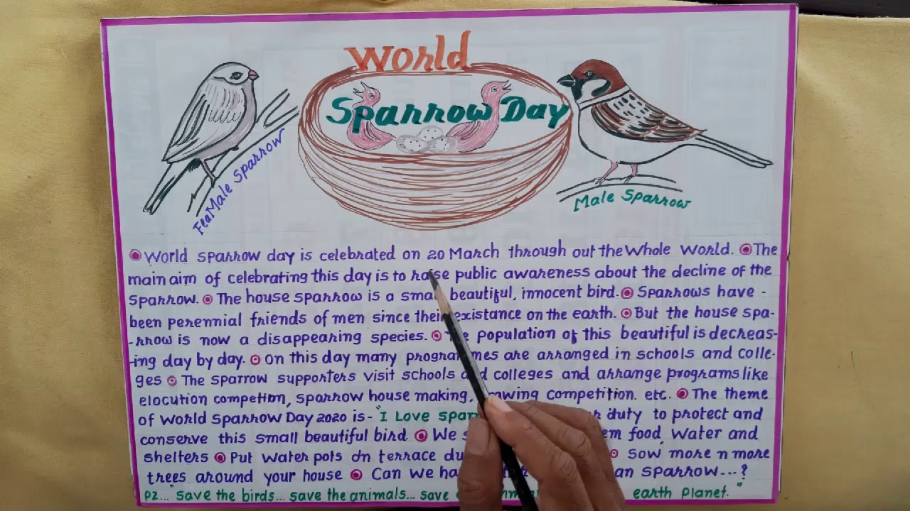 Speech on World Sparrow Day ||Essay On World Sparrow Day||Sparrow Day ...