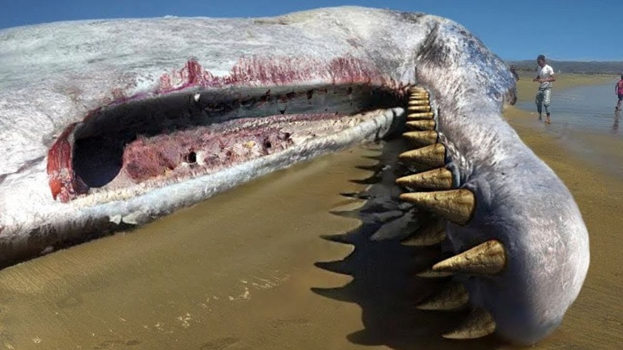 Scary Giant Extinct Creatures You Won't Believe It Existed - YouTube