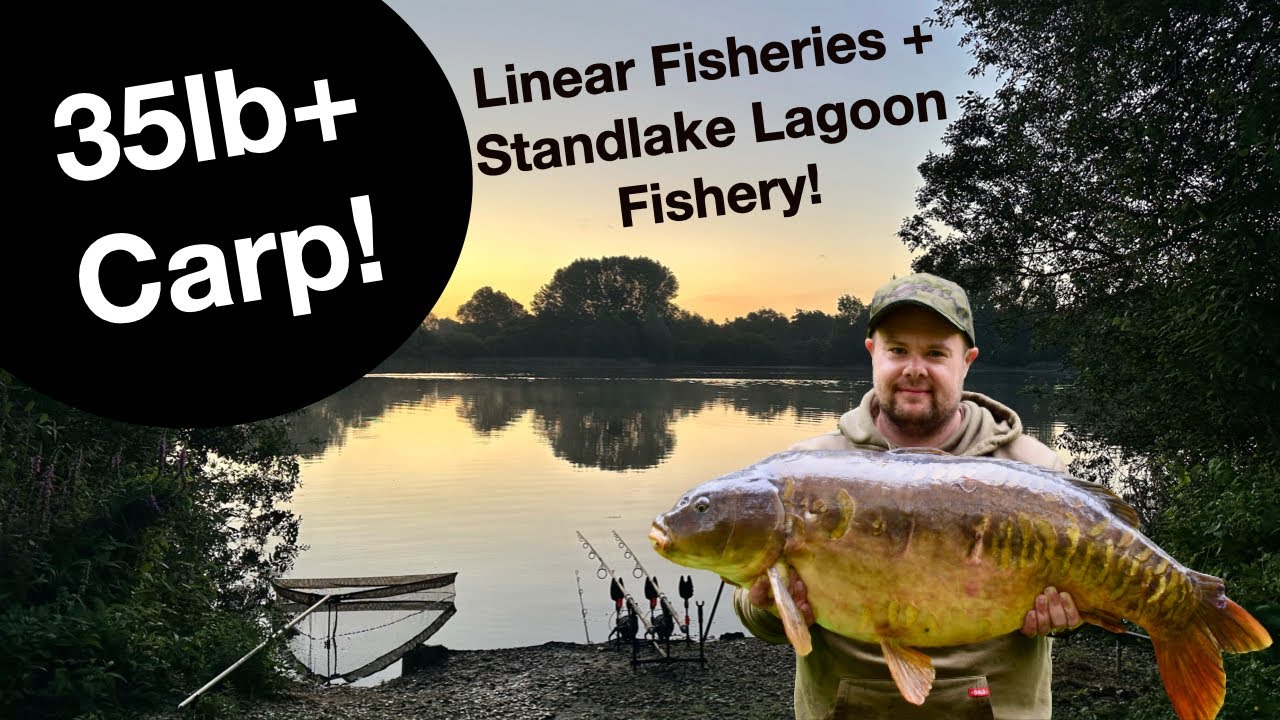 Big Carp! Fishing at Linear Fisheries & Standlake Lagoon Fishery! - YouTube