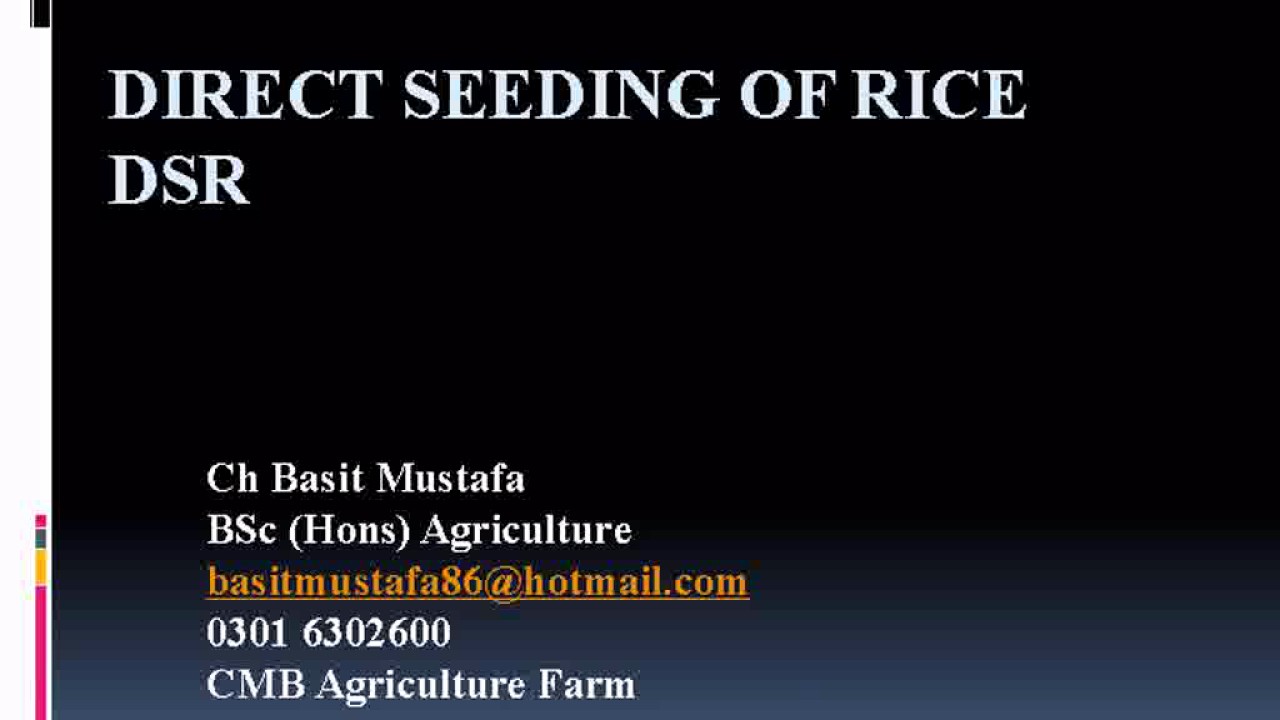 Direct Seeding of Rice - YouTube