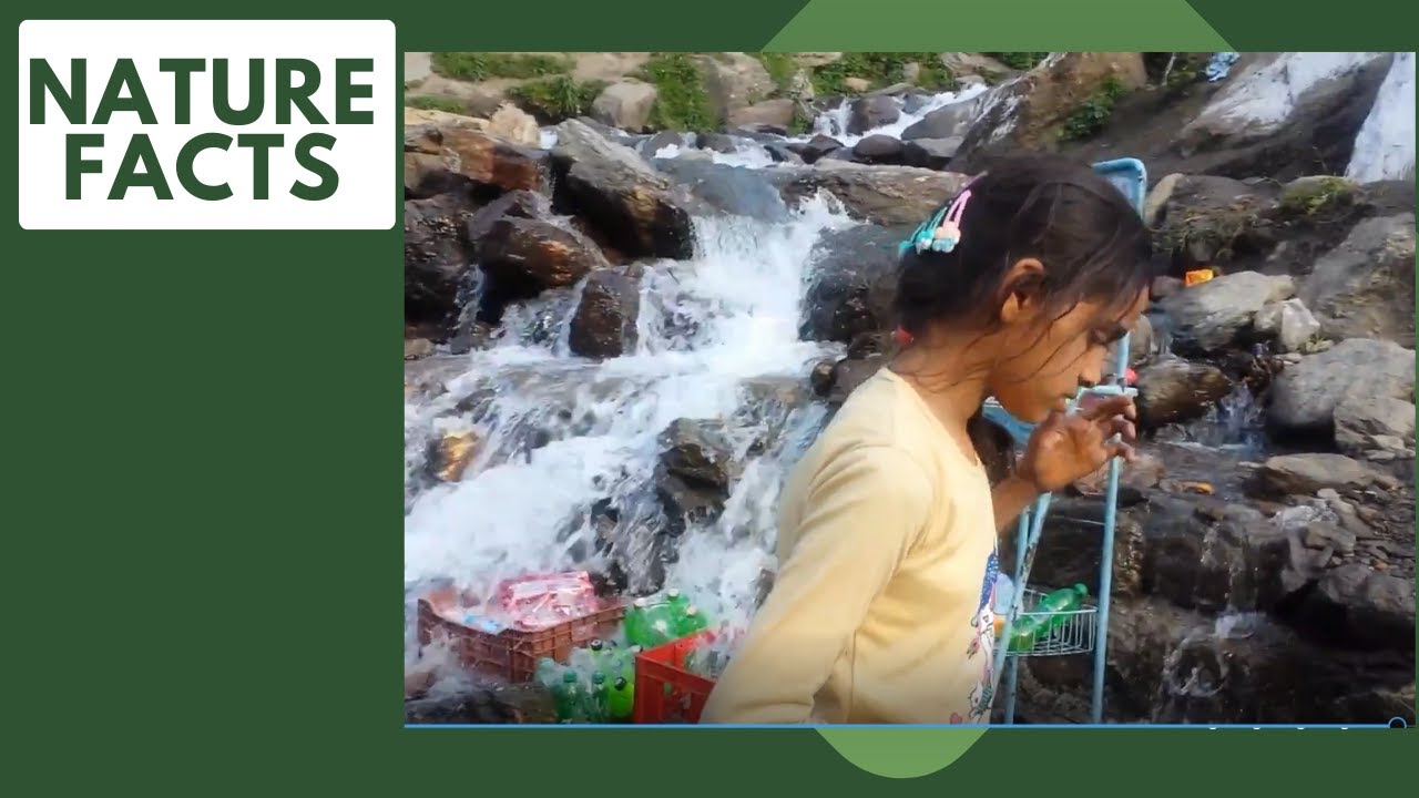 Nature Facts 23 - YouTube