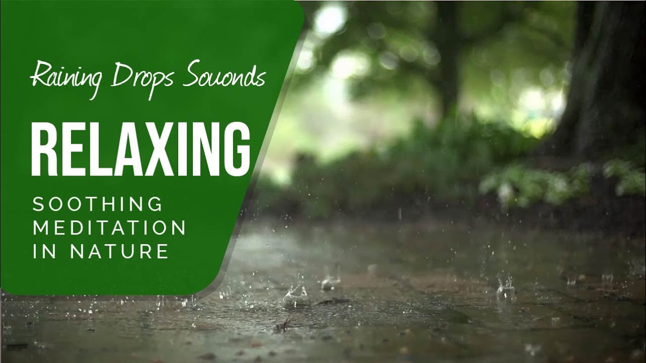 rain drops sound relaxing | Raining drops sounds soothing | rain drops ...