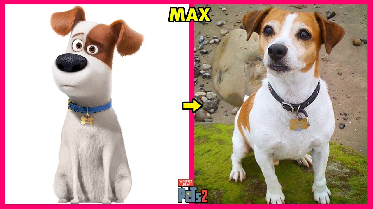 Dog Cartoon Characters 😱 Real Life - YouTube