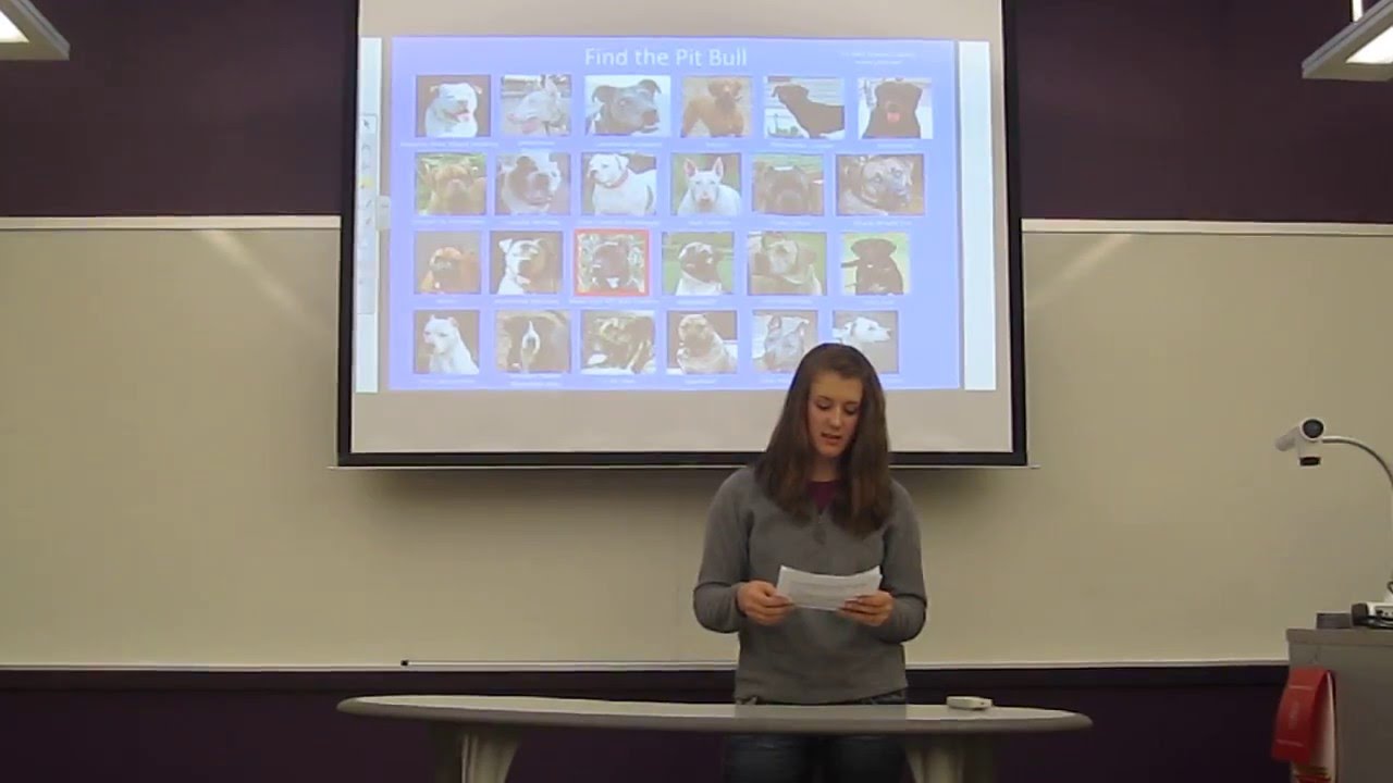 Persuasive Speech- Breed Specific Legislation - YouTube