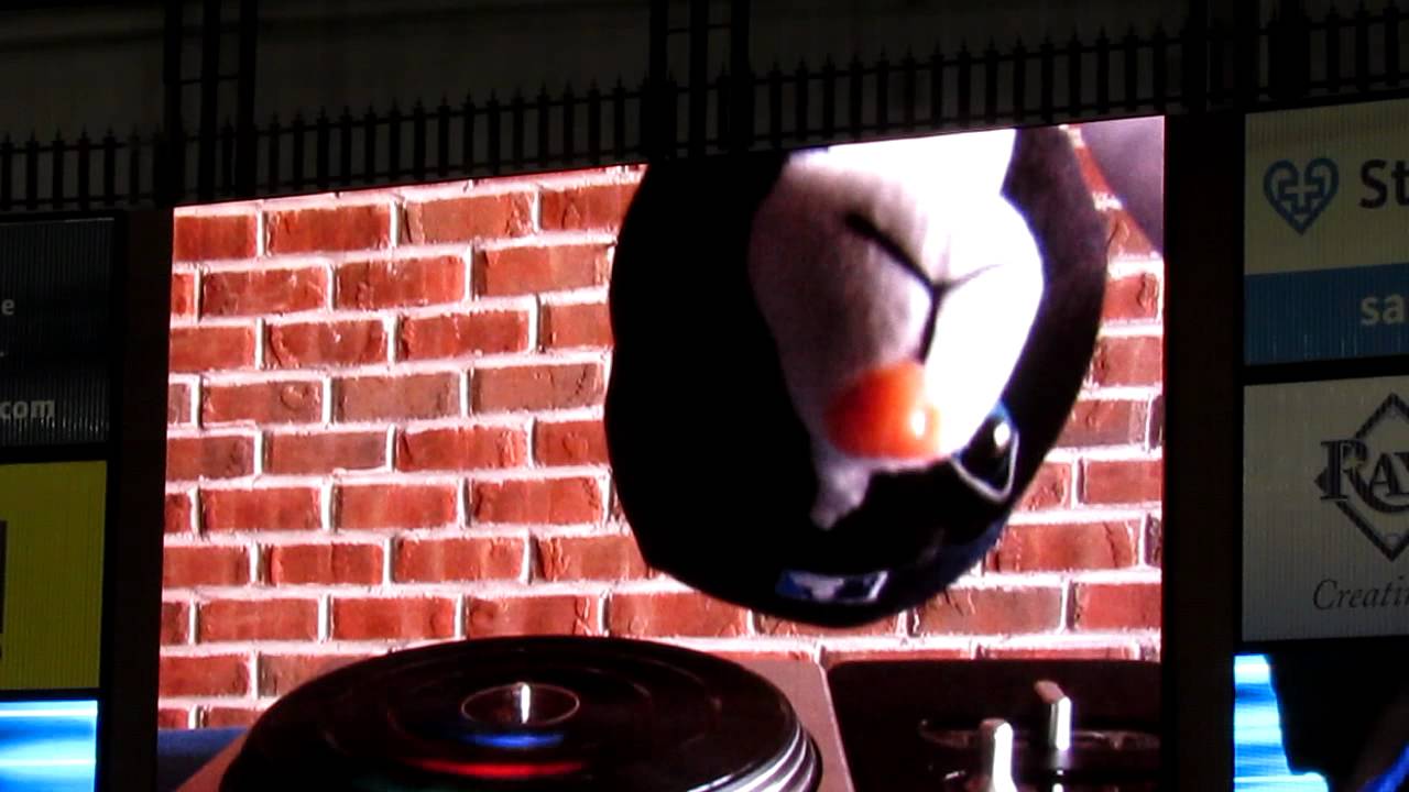 DJ Kitty - Tampa Bay Rays - YouTube