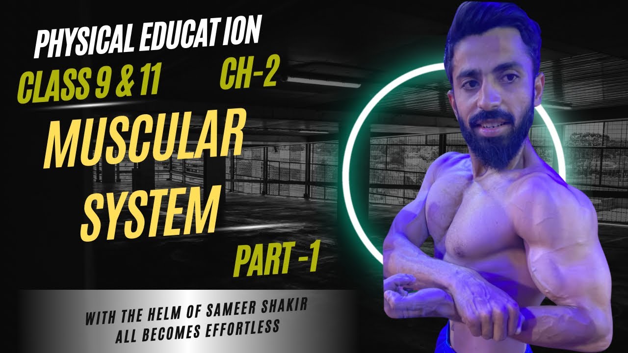 Muscular System // Physical Edu // Class 9 & 11 // Easy tricks - YouTube