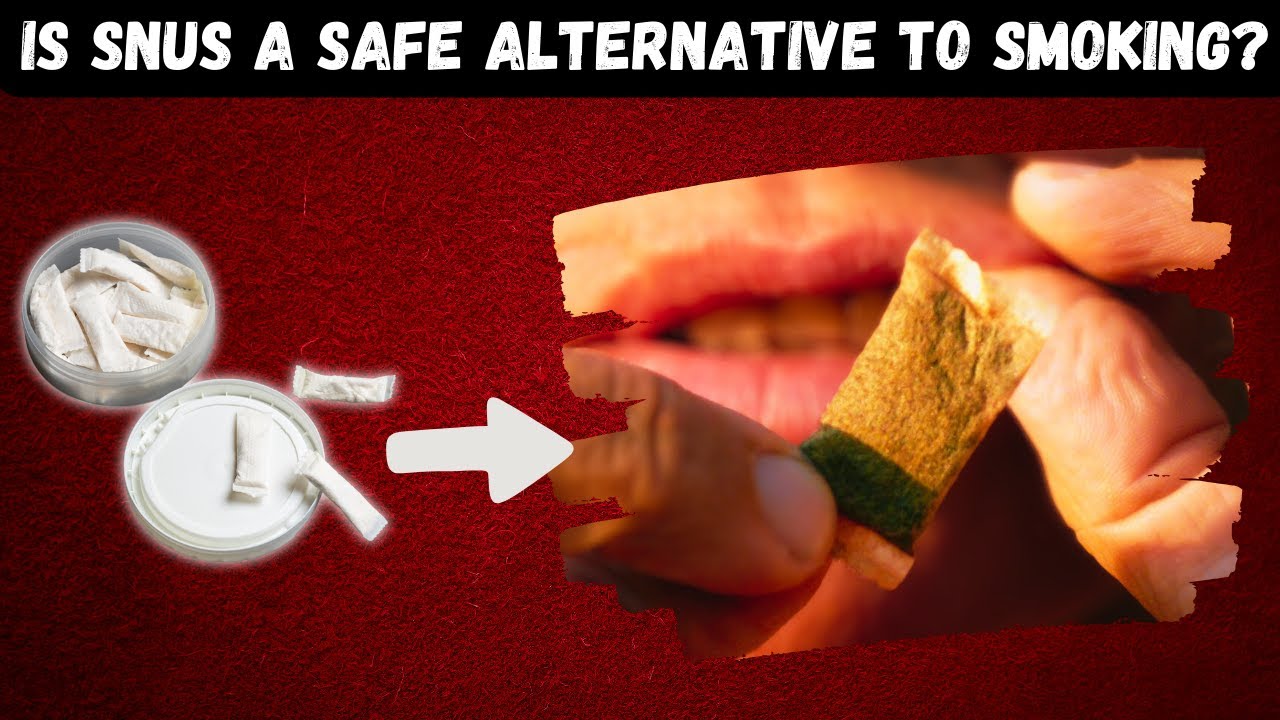 "The Truth About Snus: Benefits, Risks, and What You Should Consider ...