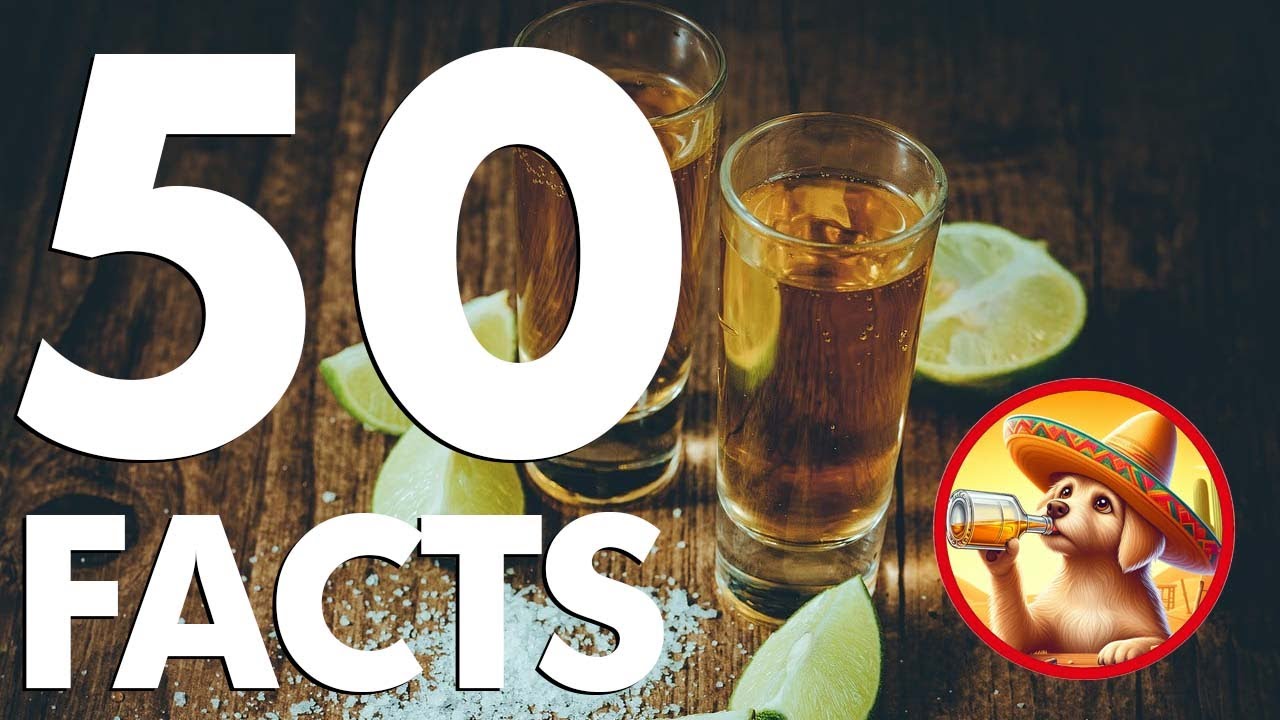 Tequila: 50 Epic Facts to Spice Up Your Cocktail Knowledge - YouTube