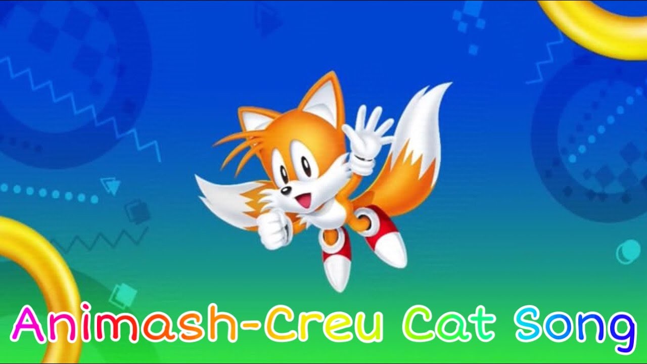 Animash-Creu Cat Song - YouTube