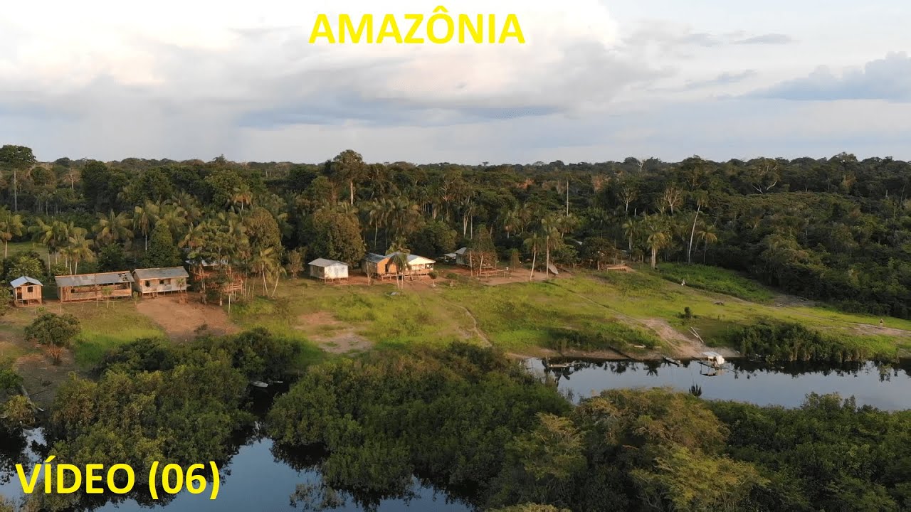 17 DIAS EM UMA COMUNIDADE RIBEIRINHA NO LAGO AMANÃ - AMAZONAS. VÍDEO ...
