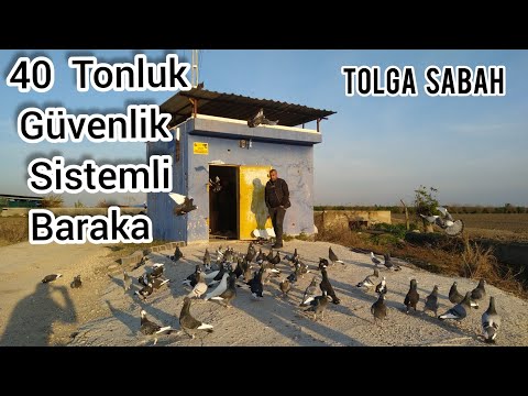 ADANA GÜVERCİNLERİ İÇİN KALE GİBİ BARAKA YAPTIRMIŞ\